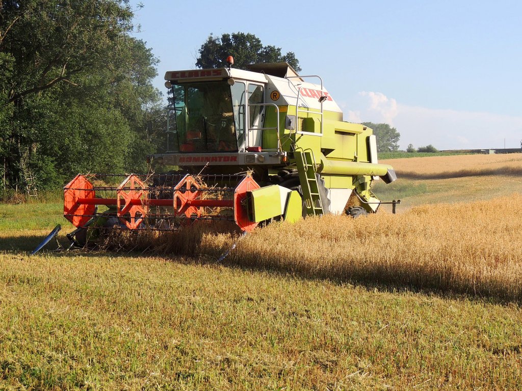CLAAS,Dominator-88 bei der Haferernte; 130805 - Fahrzeugbilder.de